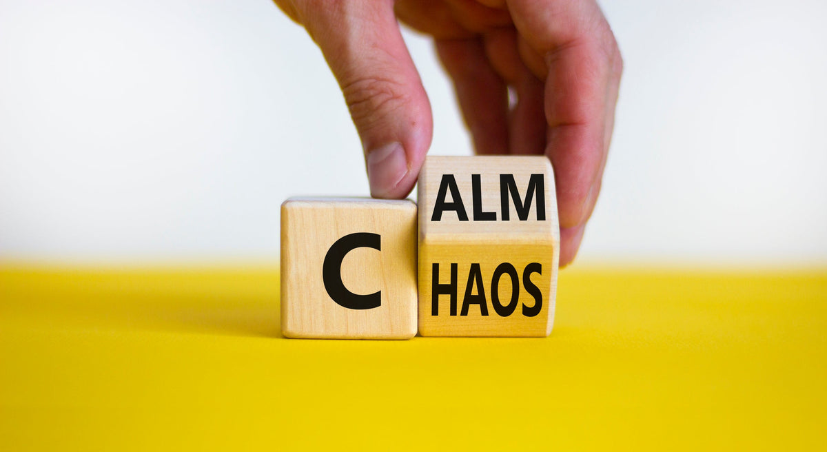 1/31/26-2/28/26: From Chaos to Calm: Mastering Classroom Management, I – Teacher's Teacher, LLC